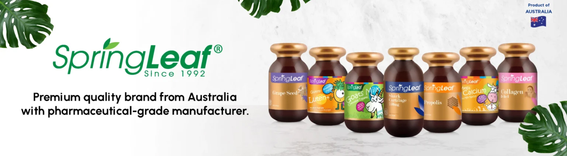 SpringLeaf – Since 1992